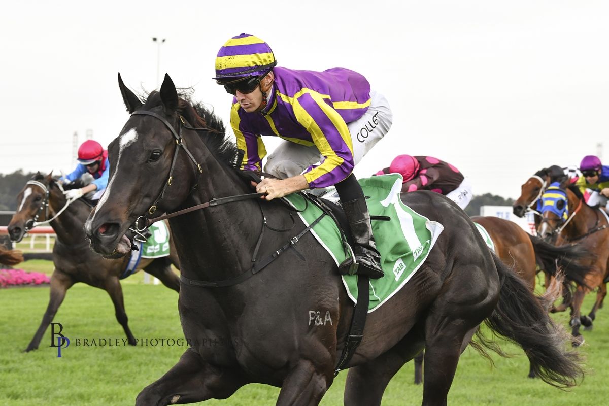 Mabel fires first up again - Tracey Bartley Racing