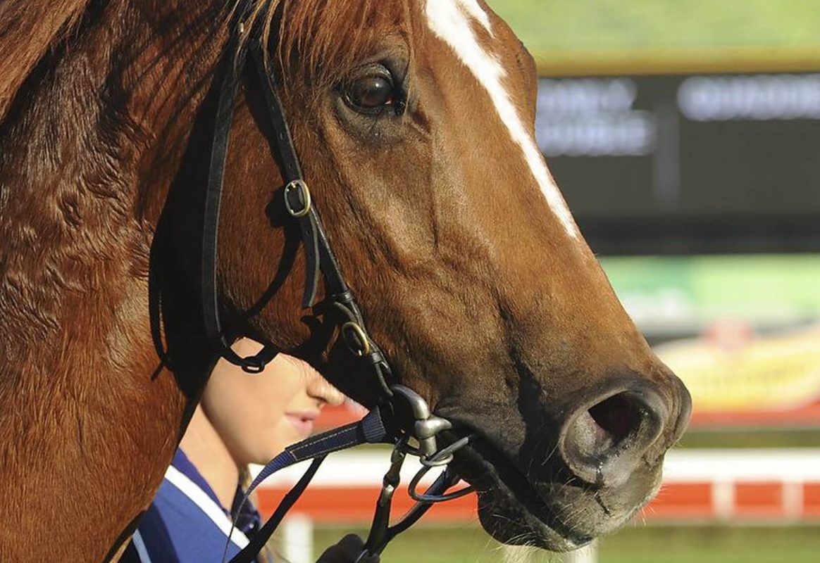 Boss Lane - Ron Quinton