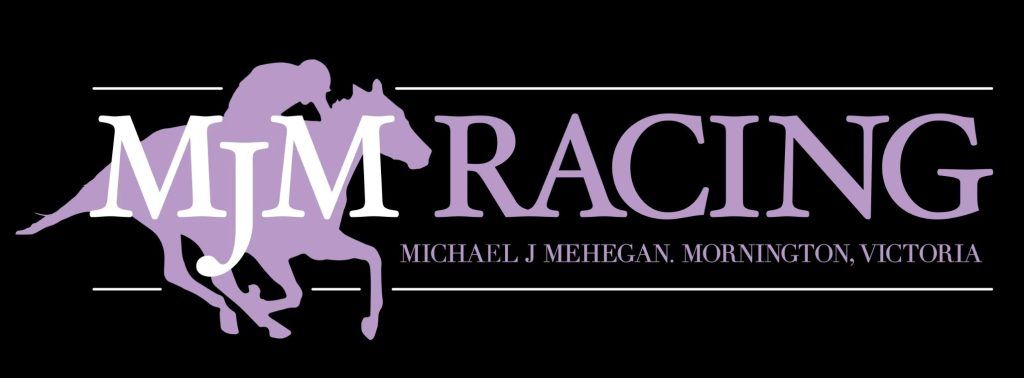 Home Page - MJM Racing and Bloodstock