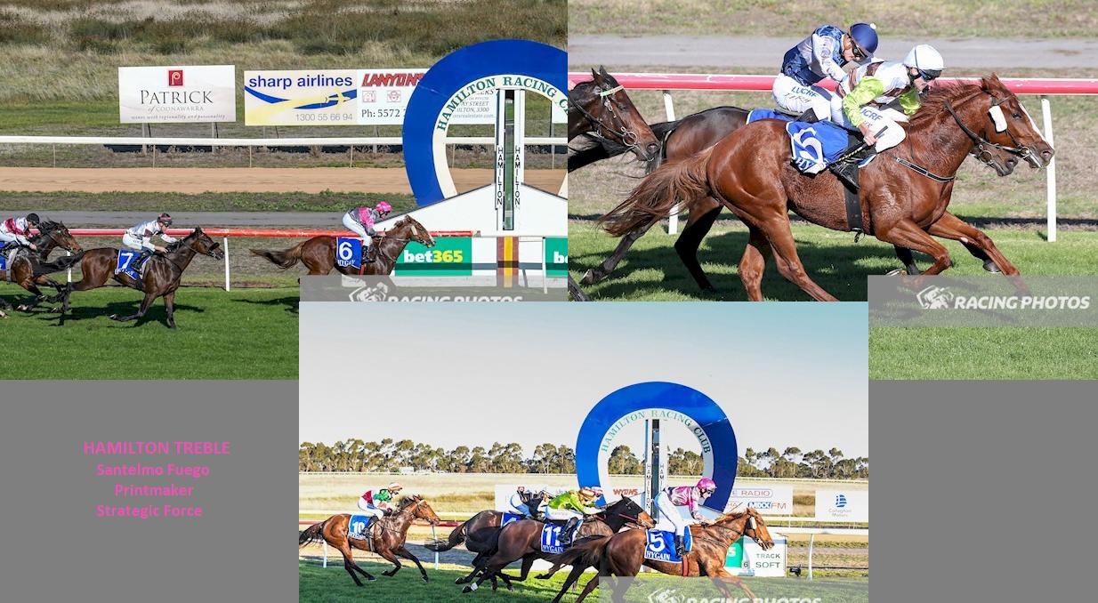 Wilde Racing produce a treble at Hamilton - Wilde Racing