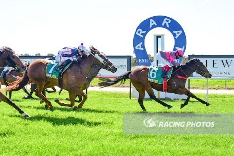 Maiden win for Auld Regret - Wilde Racing