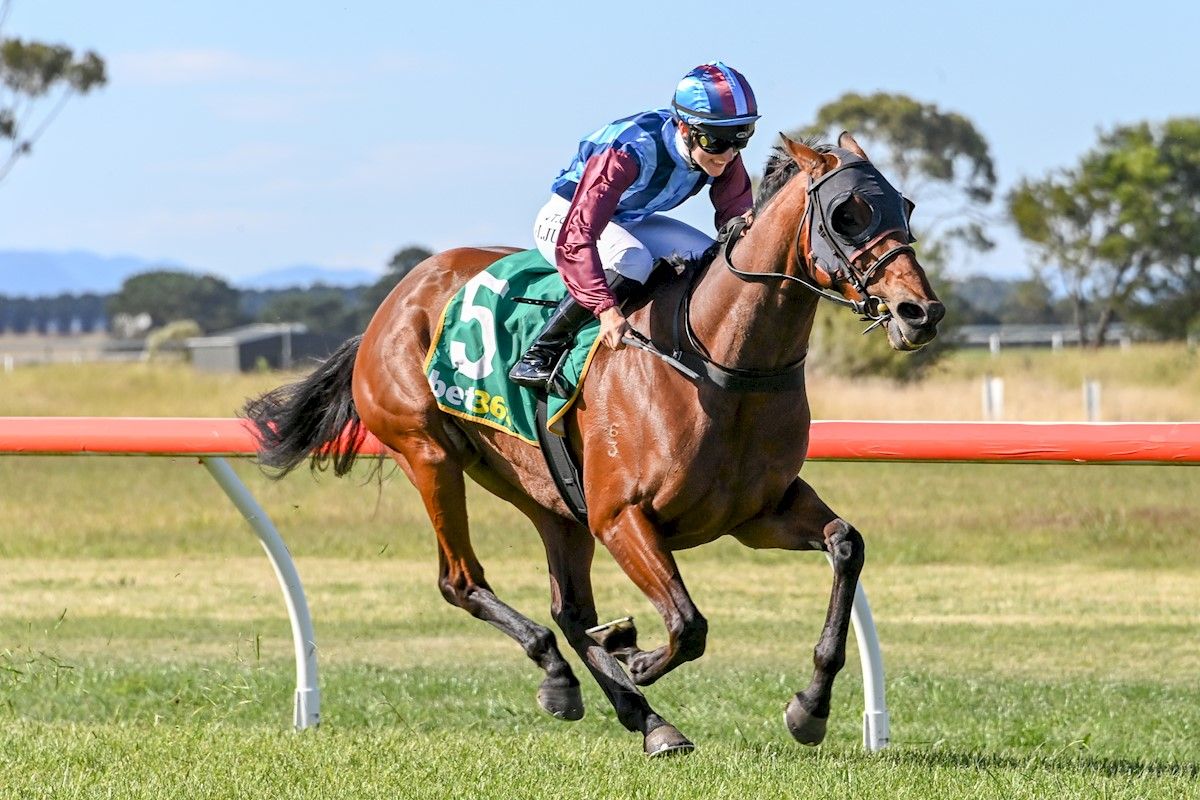 Boxing Day Double at Penshurst - Wilde Racing