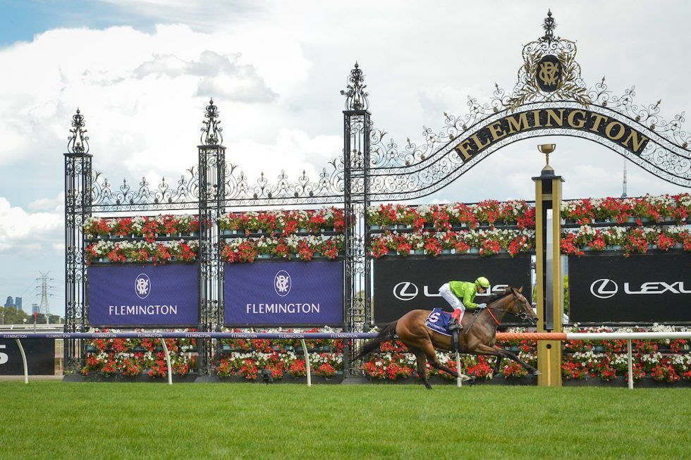 Tralee Rose demolishes rivals in the Bagot - Wilde Racing