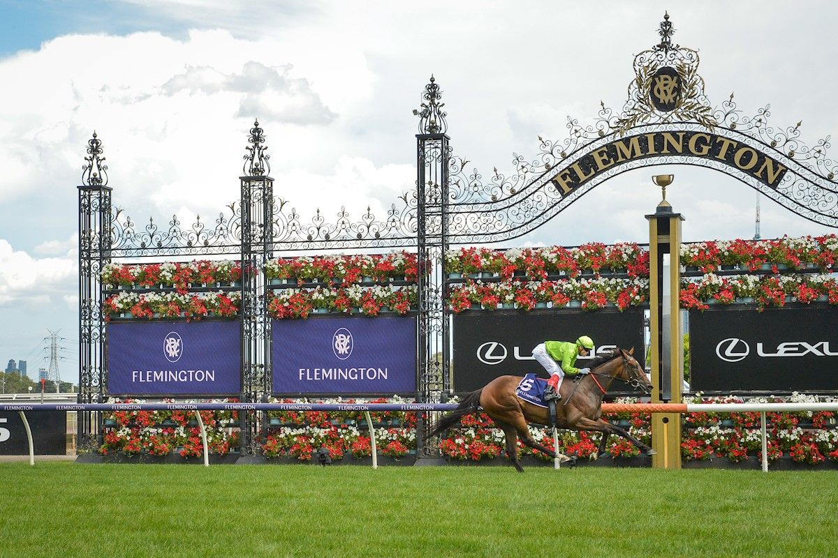 Tralee Rose demolishes rivals in the Bagot - Wilde Racing