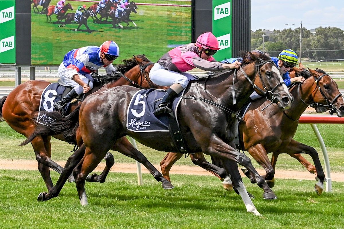 As I Please is two from two - Wilde Racing