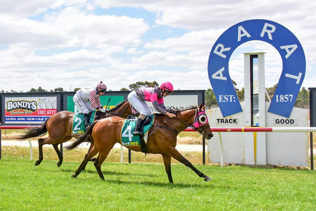 Lady Delight goes back to back - Wilde Racing