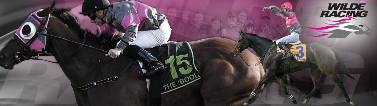 Welcome the Website of Horse Trainers Symon and Bill Wilde