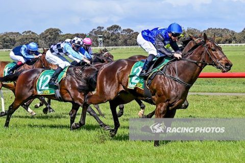 Donald duo break duck - Wilde Racing