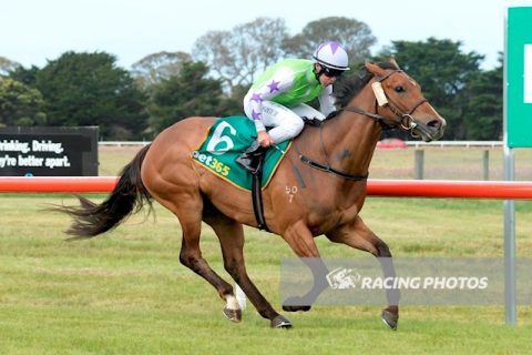 Kaakit Akit wins on stable debut - Wilde Racing