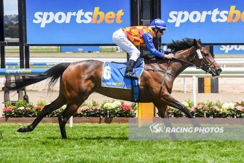 Duchess of Dorset brings up Metro victory - Wilde Racing