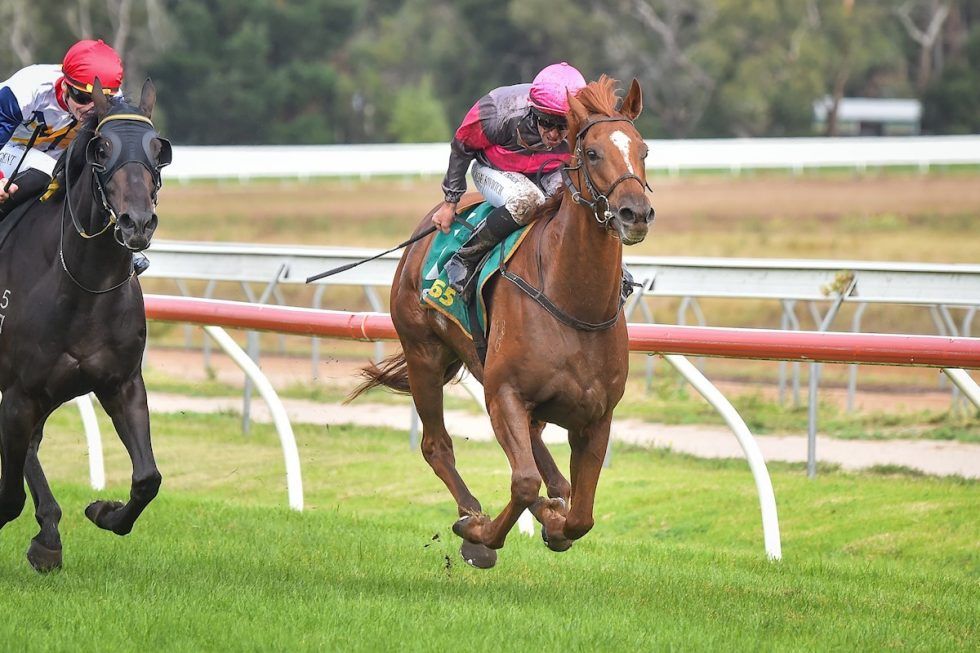 Jimmy Revels In The Wet - Wilde Racing