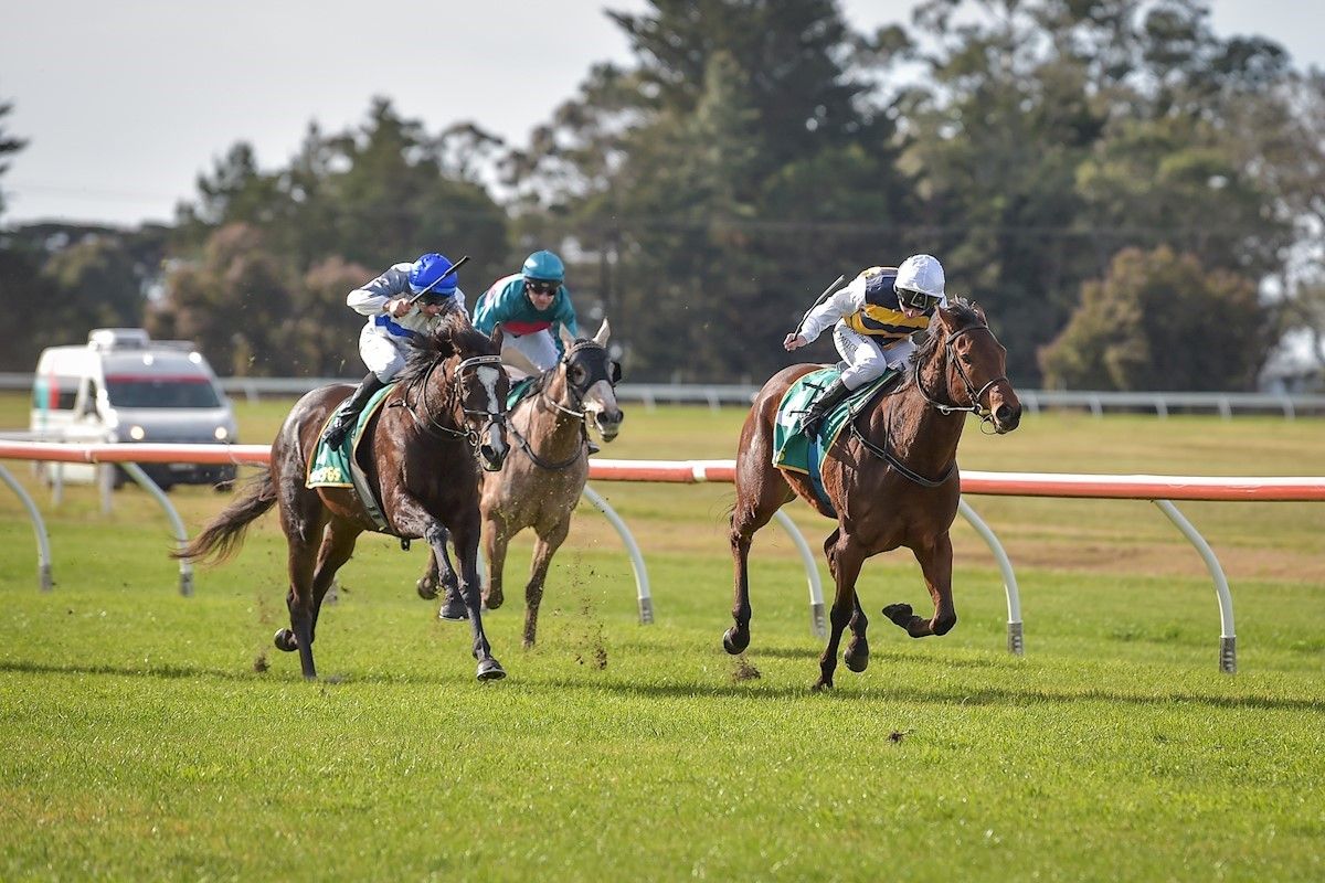 Welcome the Website of Horse Trainers Symon and Bill Wilde
