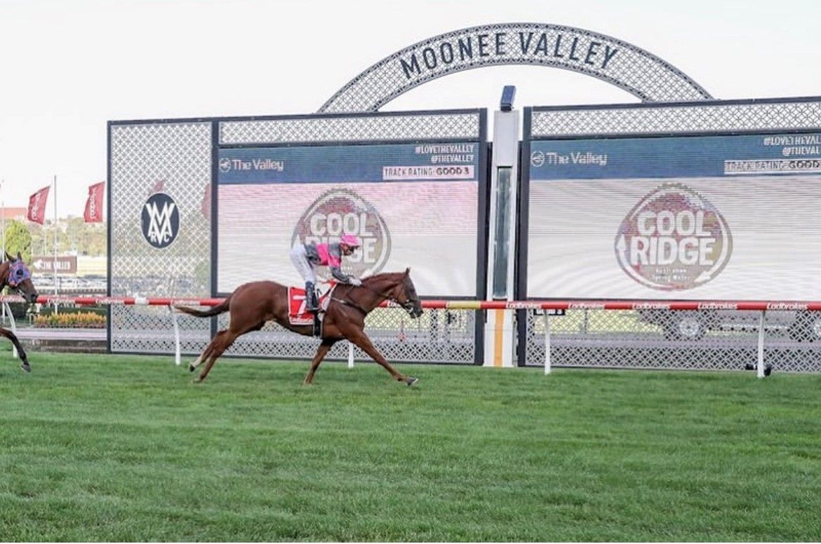 Friday racing double - Wilde Racing