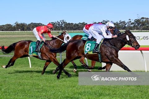 Sunfish impresses at Donald - Wilde Racing