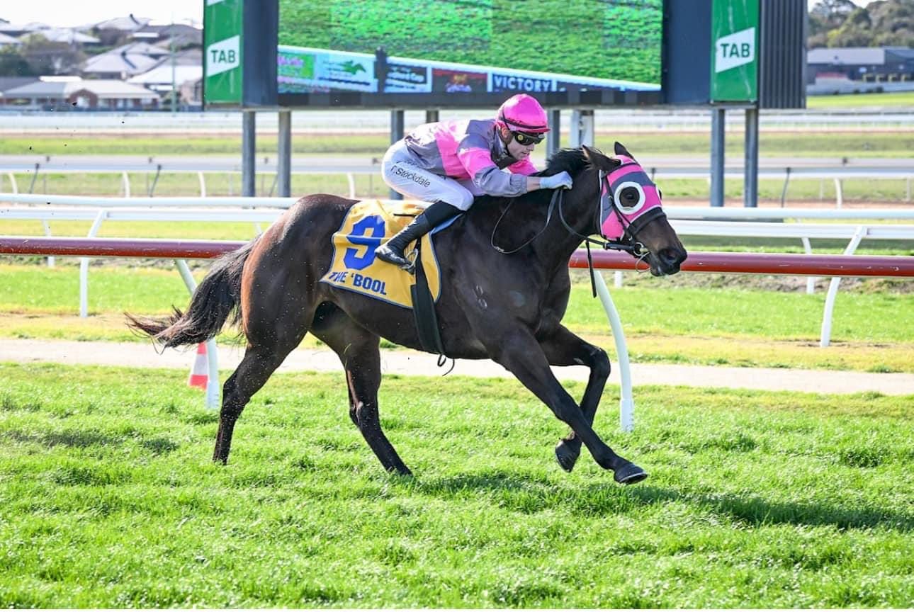 Welcome the Website of Horse Trainers Symon and Bill Wilde