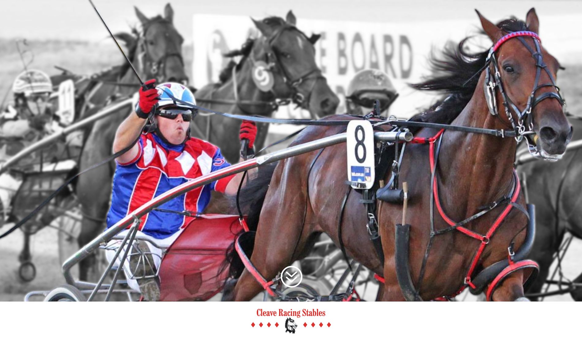 New website launch! - Cleave Racing Stables