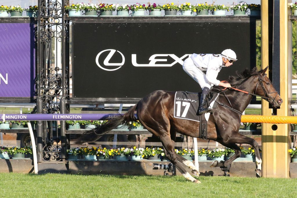 Analyse this - May trainer in focus on Grahame Begg - Grahame Begg Racing