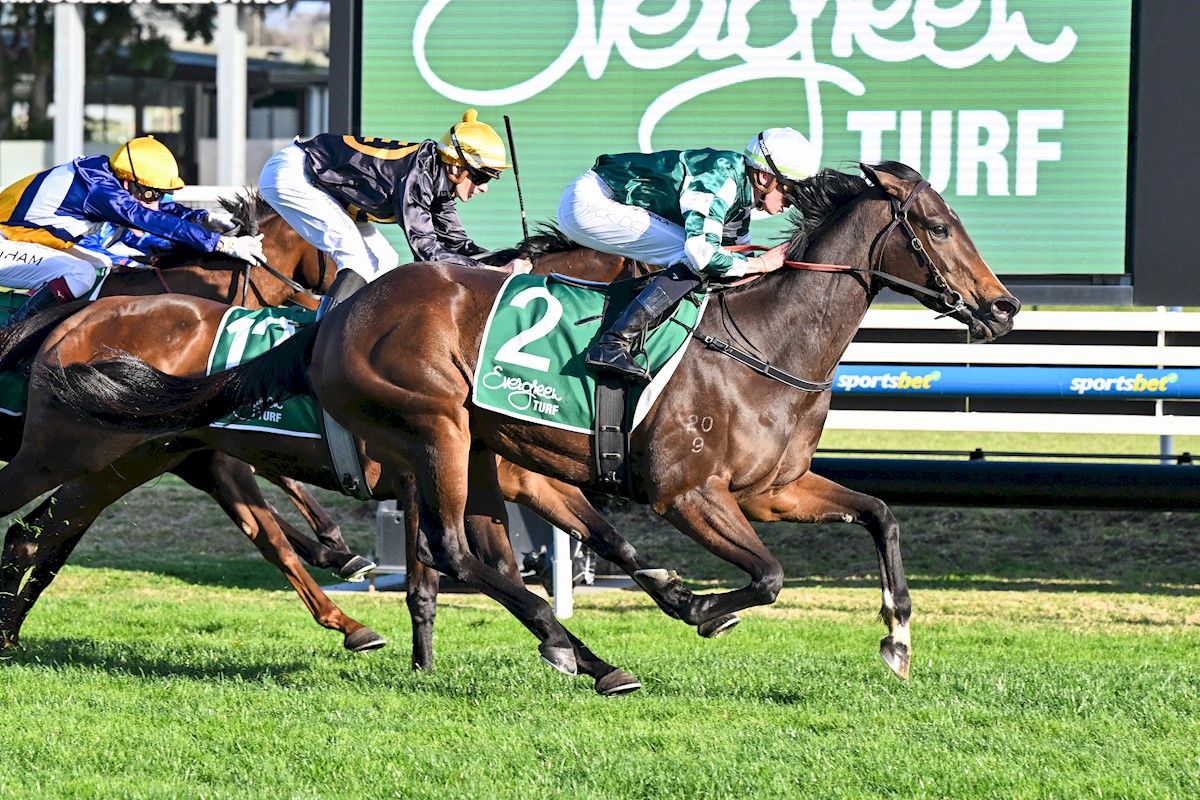 Spring Carnival Recap – A Remarkable Season for Grahame Begg Racing ...