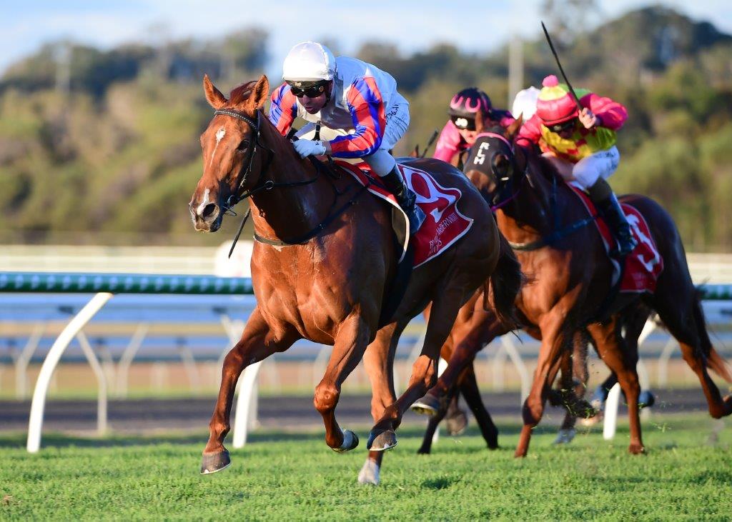 Duncan Racing start new season in good Mood - Paul Duncan Racing