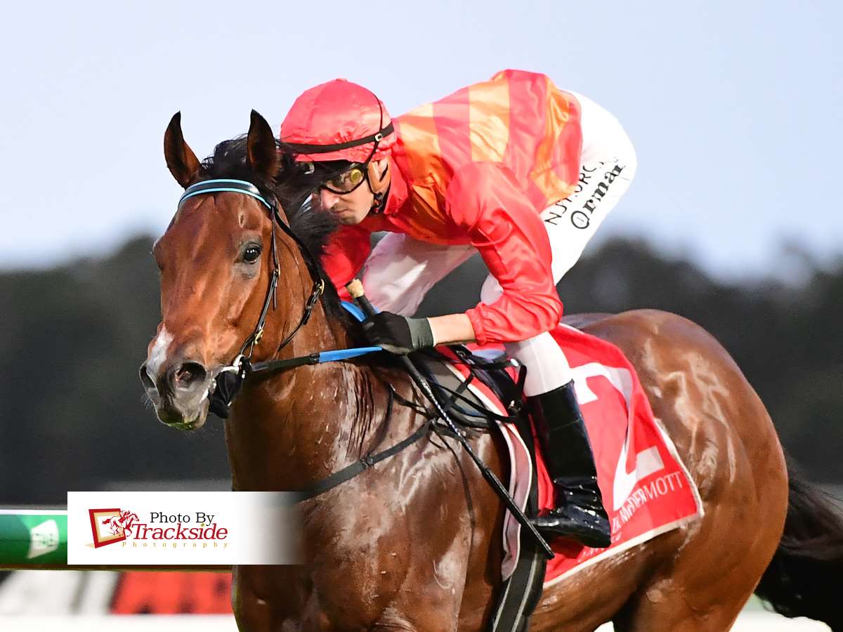 Summer carnival heating up!! - Nat McCall Racing