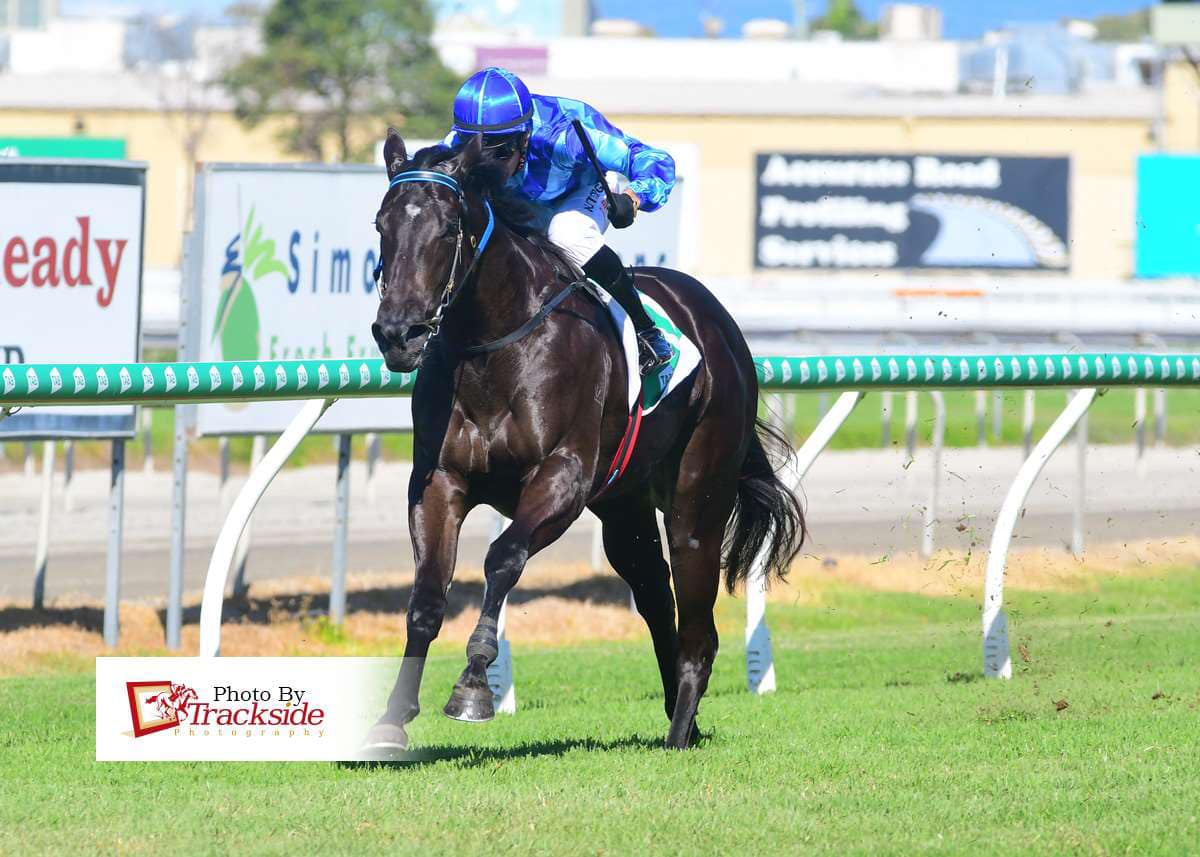 Delta Formlines Magical - Nat McCall Racing