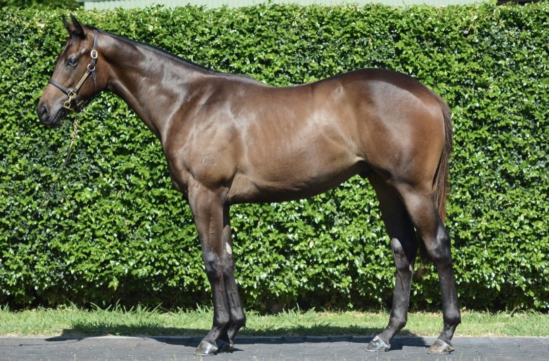 Home - Nat McCall Racing