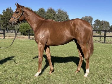 Home - Nat McCall Racing