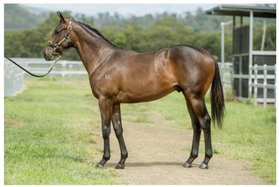 Home - Nat McCall Racing