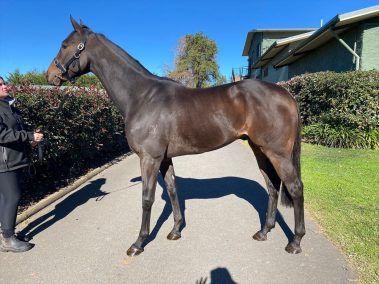 Home - Nat McCall Racing