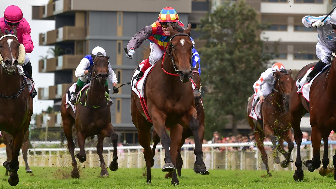 Home - Nat McCall Racing