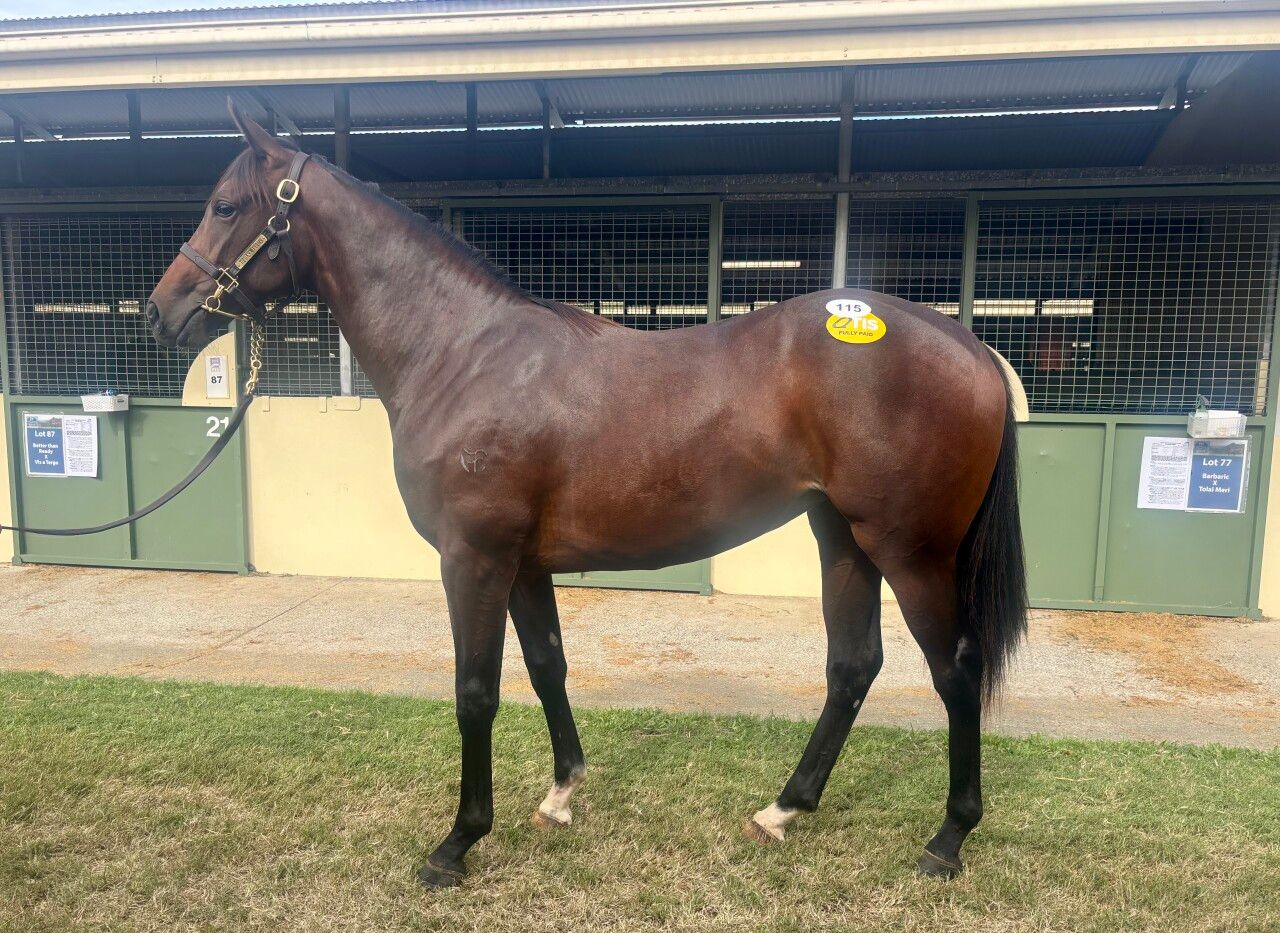 Aclaim - Arizona Rose Filly - Nat McCall Racing