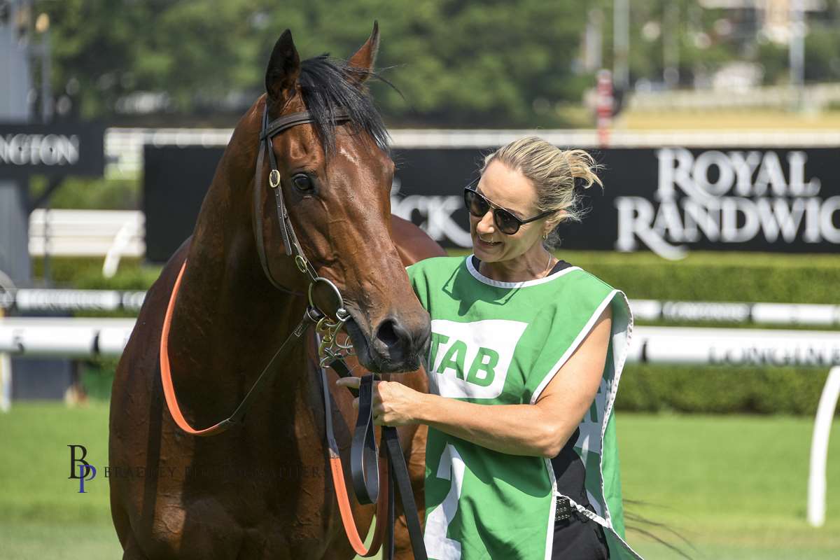 Our Horses - Amanda Turner Racing