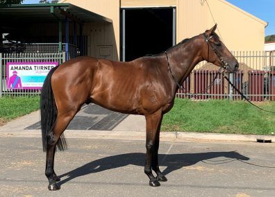 Home - Amanda Turner Racing