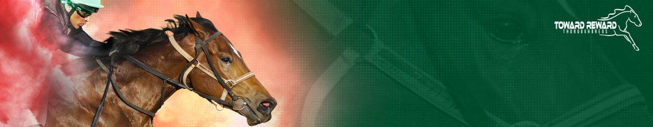 Bloodstock Agent and Racehorse Trainer: Toward Reward