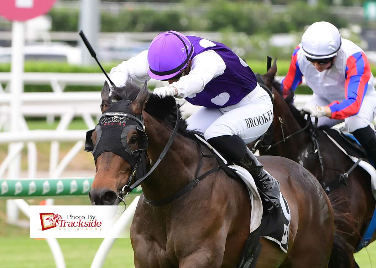 Home Page - Kendrick Racing Stables