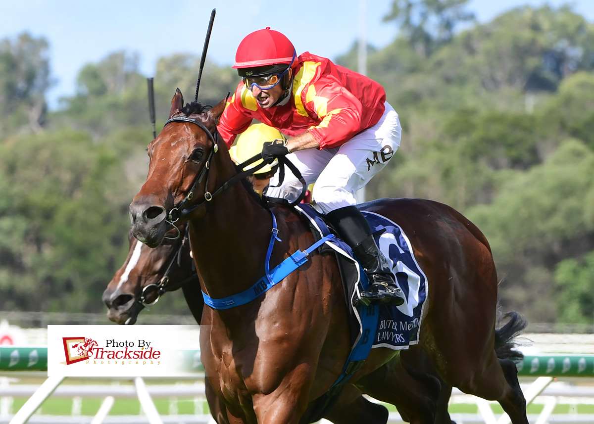 Home Page - Kendrick Racing Stables