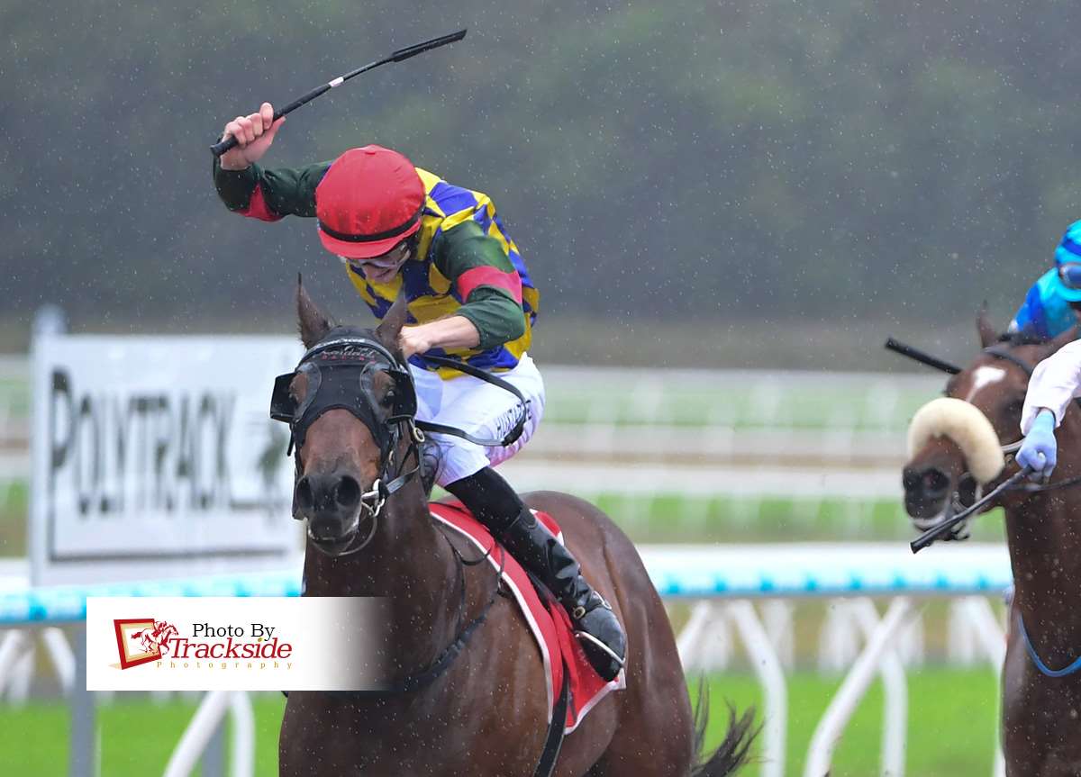 Kendrick Racing News - Kendrick Racing Stables