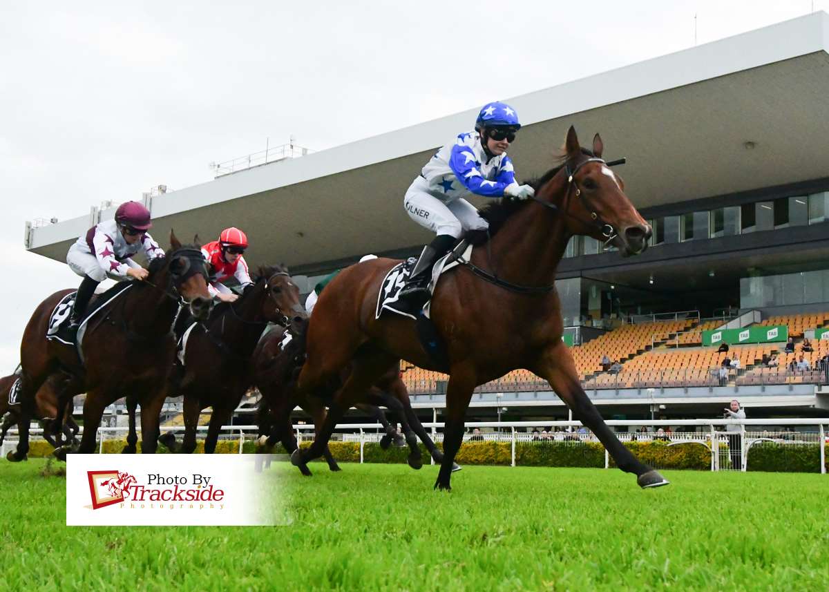 Kendrick Racing News - Kendrick Racing Stables