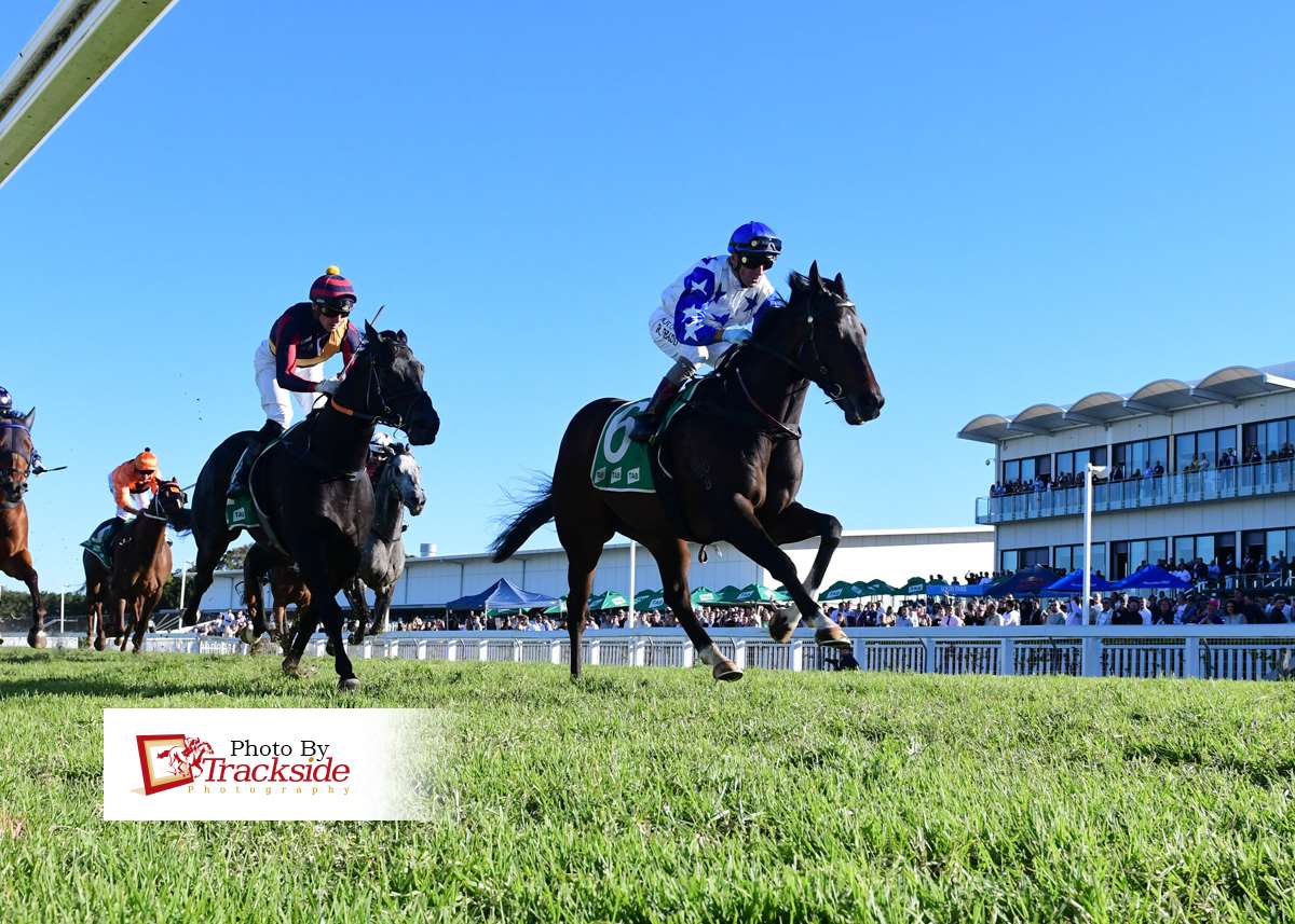 Kendrick Racing News - Kendrick Racing Stables