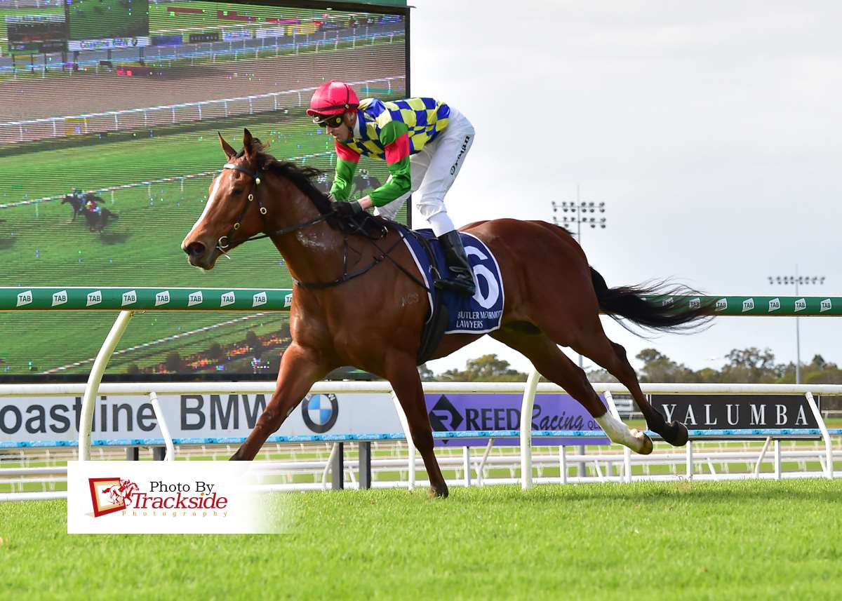 Home Page - Kendrick Racing Stables