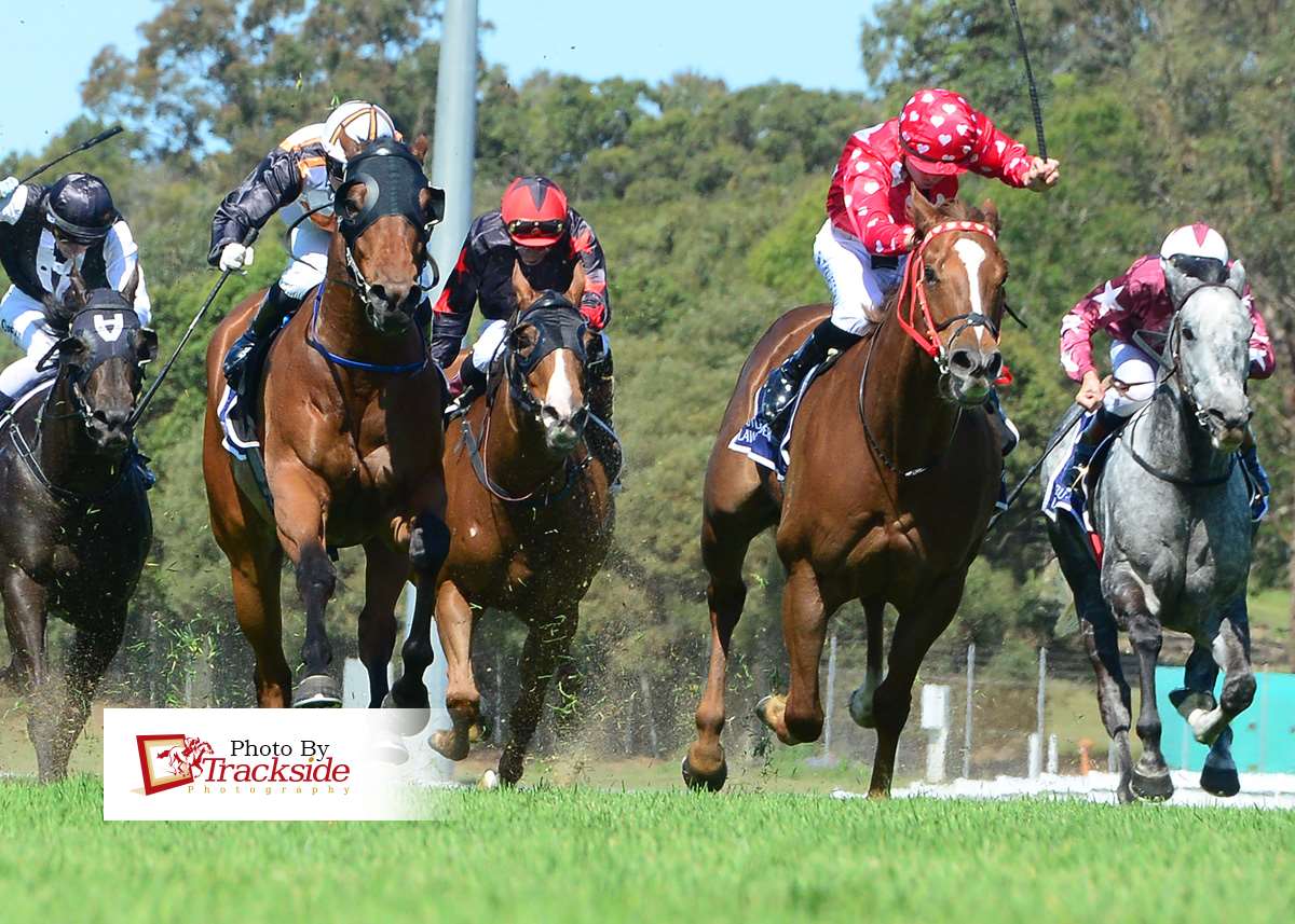 Kendrick Racing News - Kendrick Racing Stables