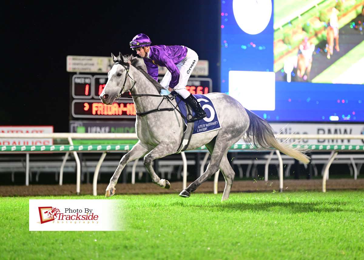 Home Page - Kendrick Racing Stables