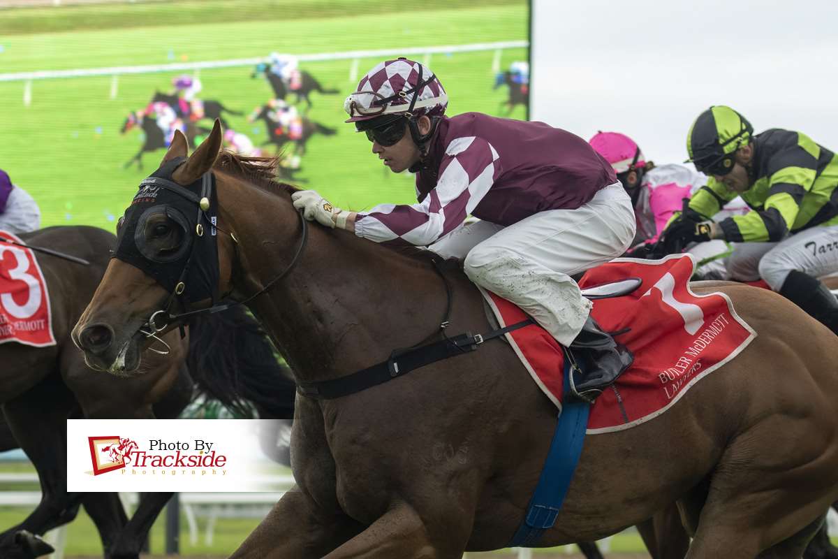 Home Page - Kendrick Racing Stables