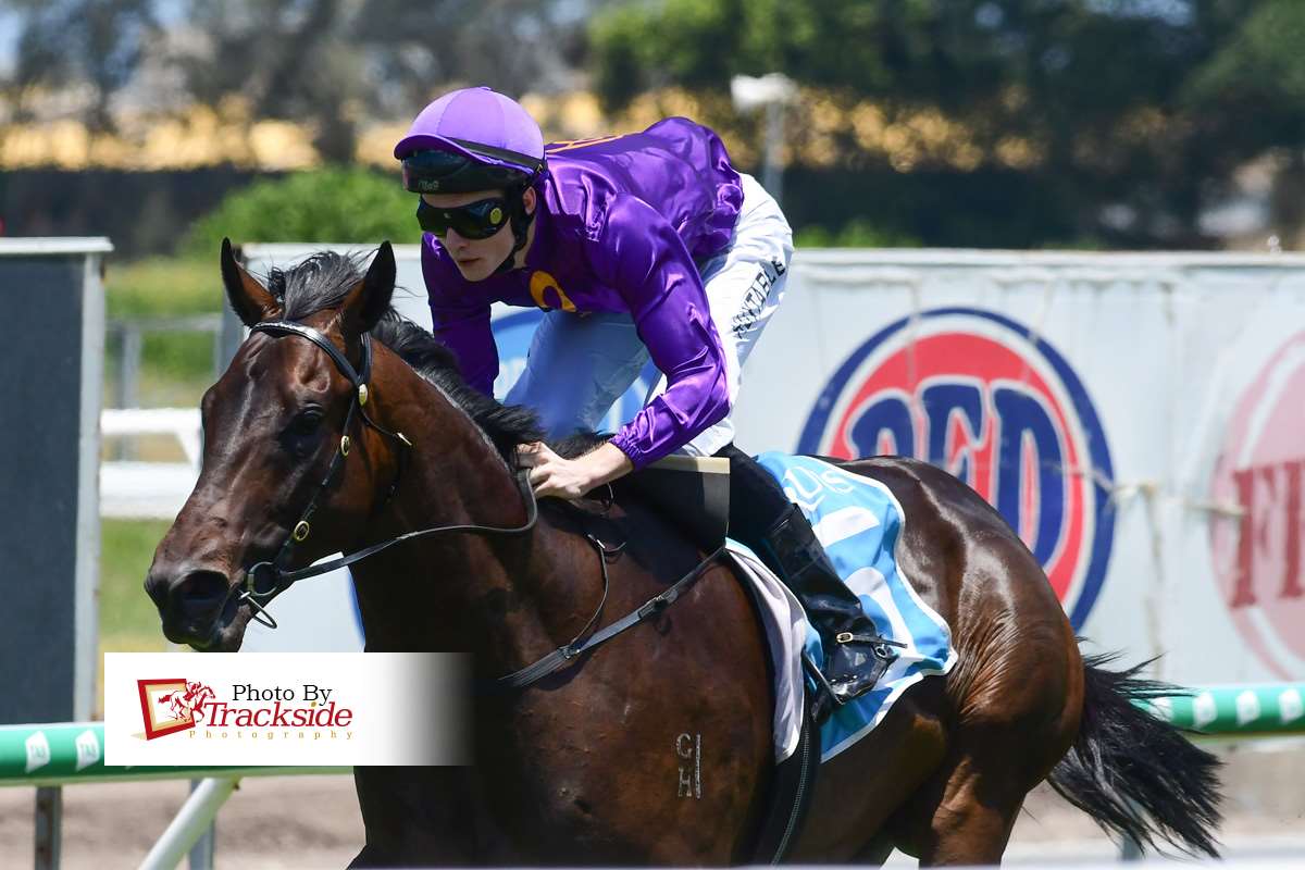 Kendrick Racing News - Kendrick Racing Stables