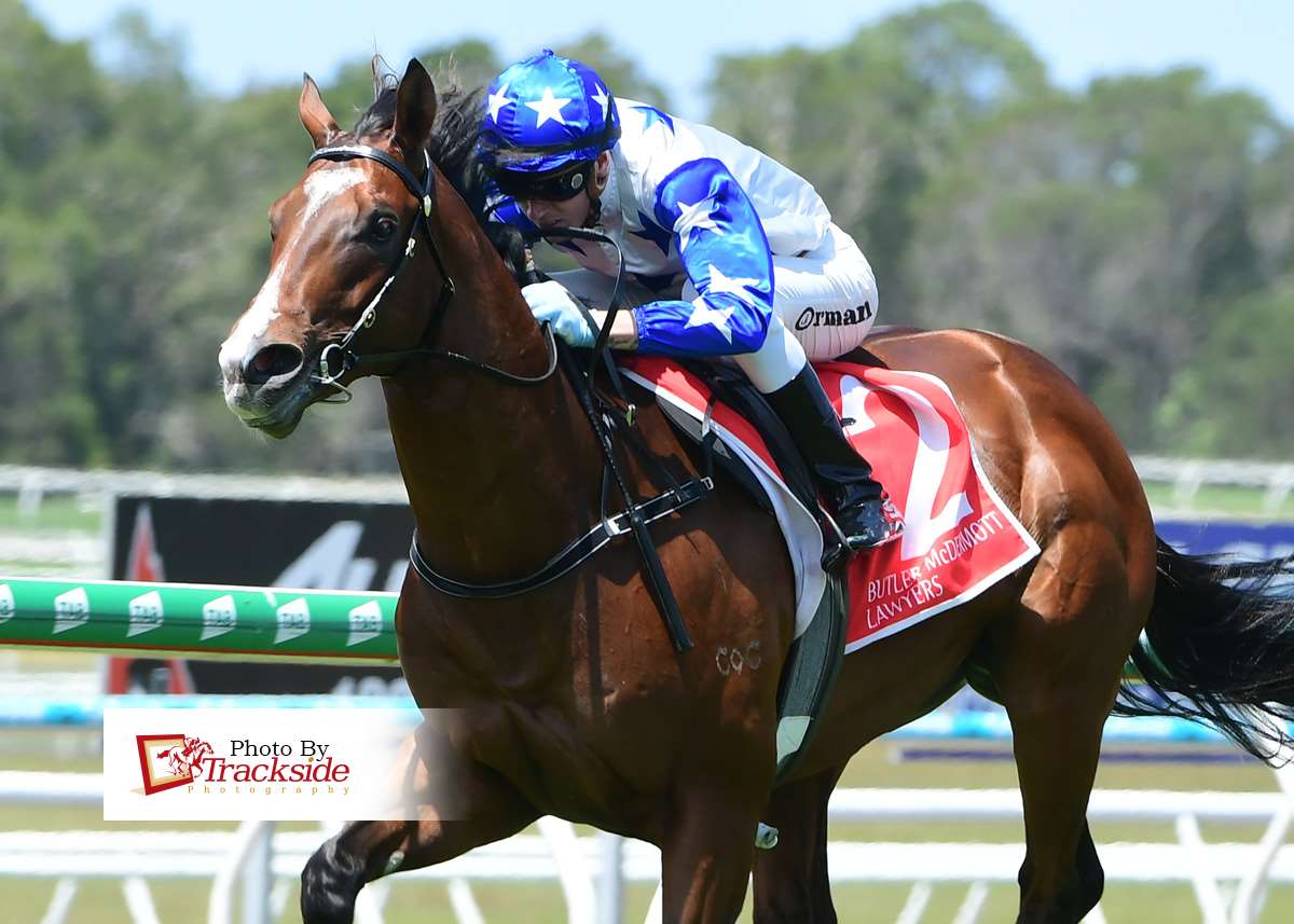 Home Page - Kendrick Racing Stables