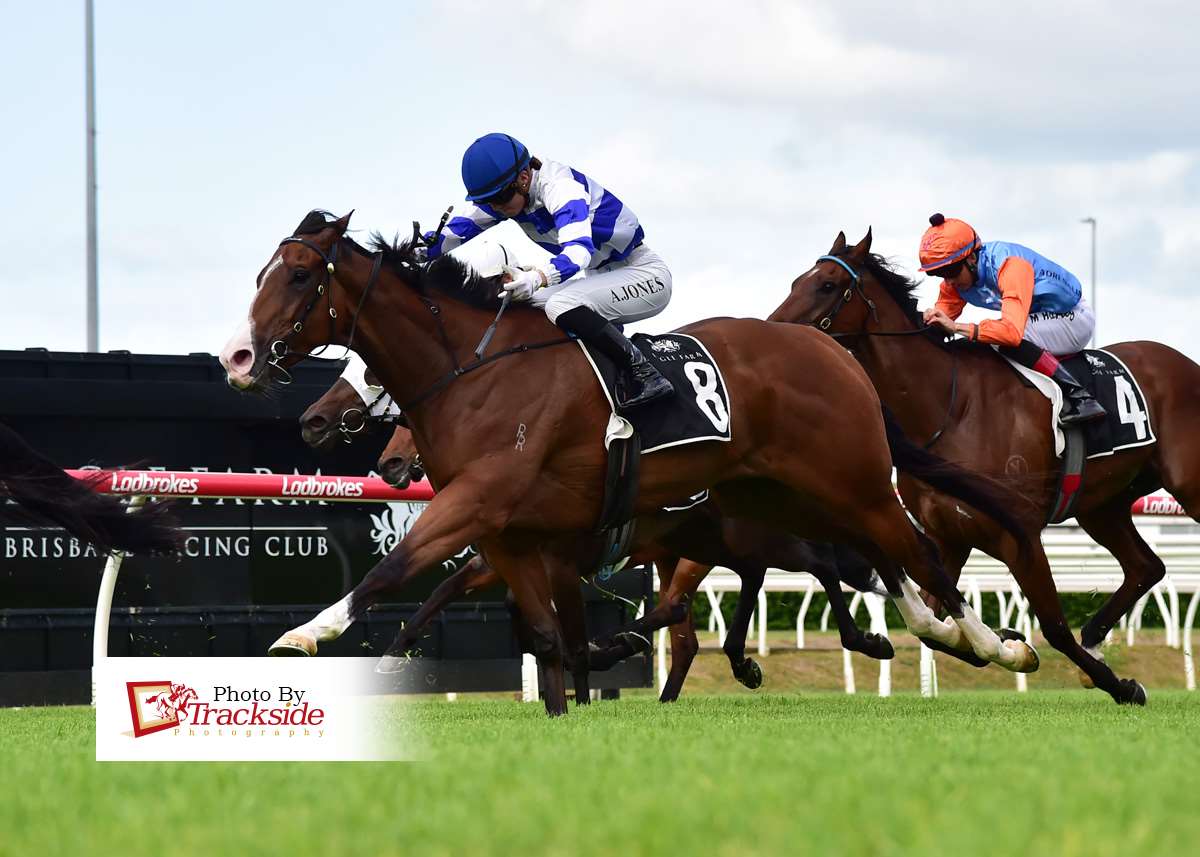 Home Page - Kendrick Racing Stables