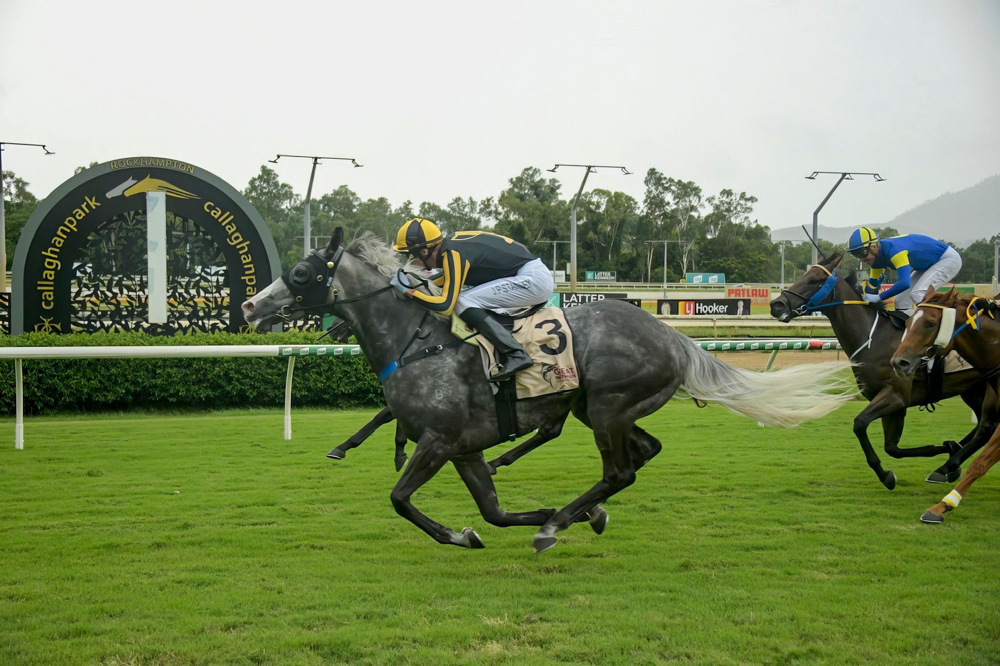 Kendrick Racing News - Kendrick Racing Stables