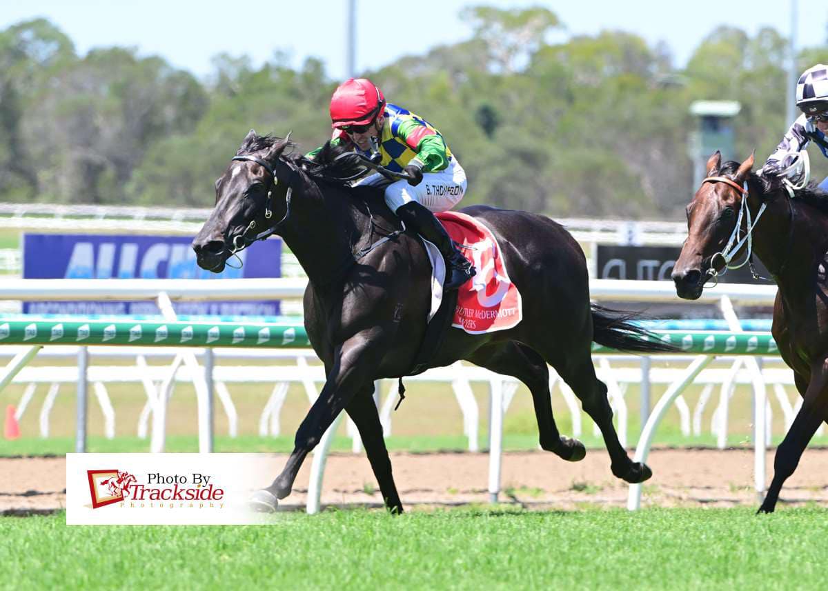 Home Page - Kendrick Racing Stables