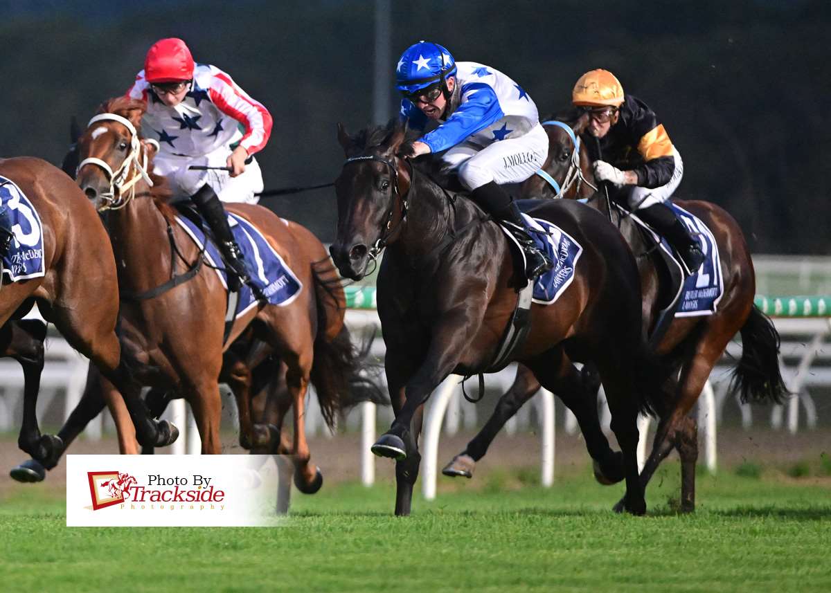 Home Page - Kendrick Racing Stables