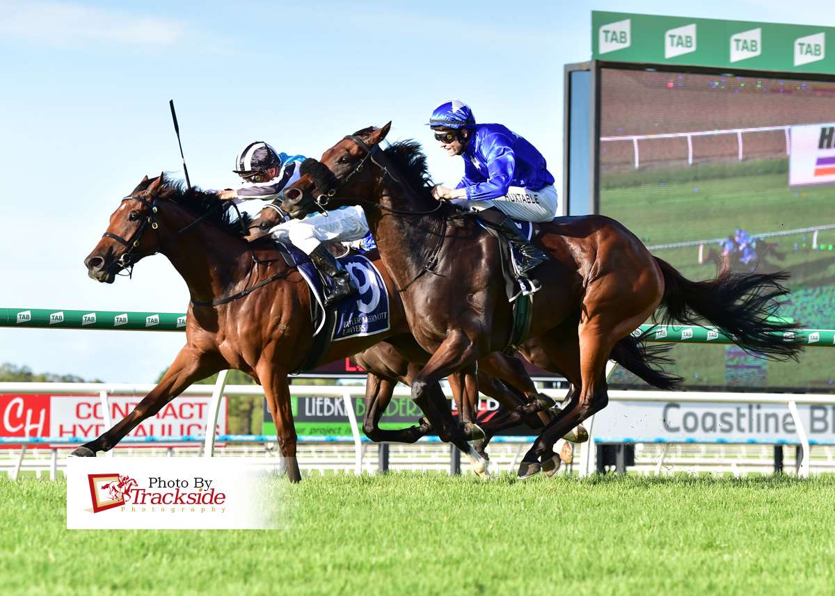 Kendrick Racing News - Kendrick Racing Stables